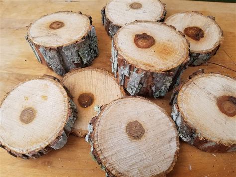 Mini Hickory Slices Log Slices Diy Crafts Live Edge Wood Rustic Decor Etsy