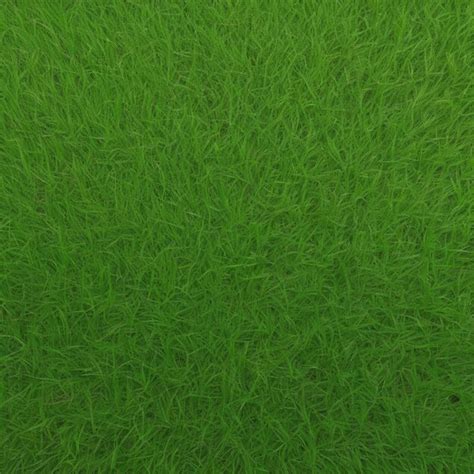 Grass Back Ground Images Free Download On Freepik