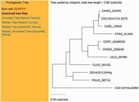 Phylogenetic Tree Display On The Cgd Homology Information Tab The