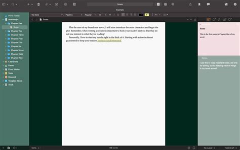 Mint Scrivener Theme Light Dark Etsy
