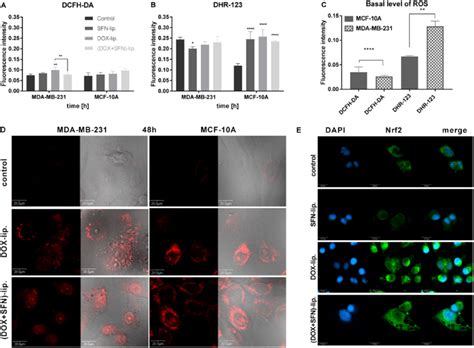 Effect Of Sfn Incorporation Into Dox Loaded Liposomes On The Download Scientific Diagram