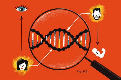 Procreate Vector At Collection Of Procreate Vector Free For Personal Use