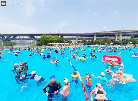 서울시 내 손안에 서울