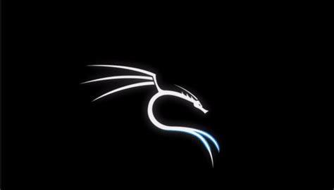 کالی لینوکس چیست Kali Linux چیست مکتوب مجله علمی آموزشی مکتبخونه