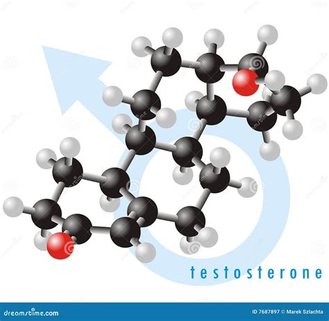 Testosterone Molecule Structural Chemical Formula Ball And Stick