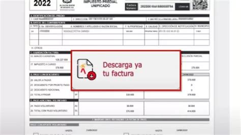 ¿cómo Descargar El Recibo Del Impuesto Predial 2025 Te Lo Explicamos