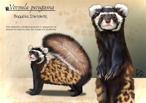 Marbled Polecat By Nefelisst On Deviantart