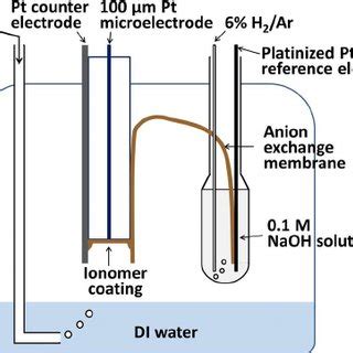 PDF A Microelectrode Study Of Interfacial Reactions At The Platinum Alkaline Polymer Interface