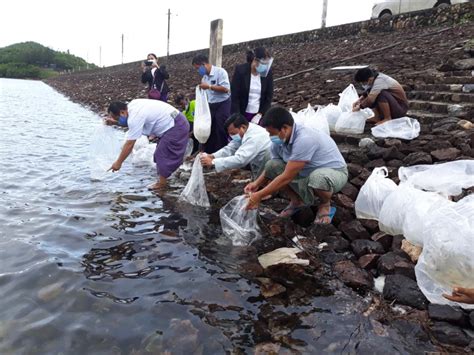 မုဒုံမြို့နယ် အဇင်းဆည်အတွင်း ငါးမြစ်ချင်း ငါးသားဖောက်ကောင်ရေ ငါးသောင်း စိုက်ထည့် Information