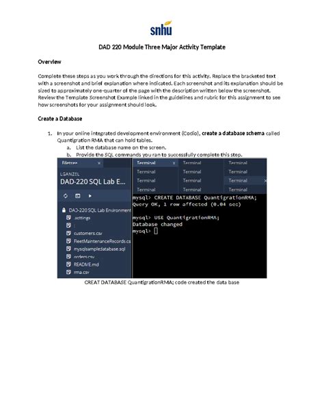 Dad 220 Module Three Major Activity Template Dad 220 Module Three Major Activity Template