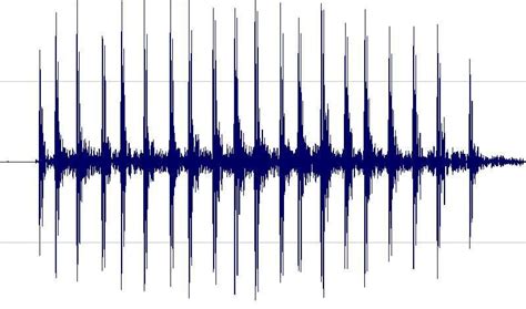 Waveform Time V Amplitude Of The First Syllable Of The Corncrake