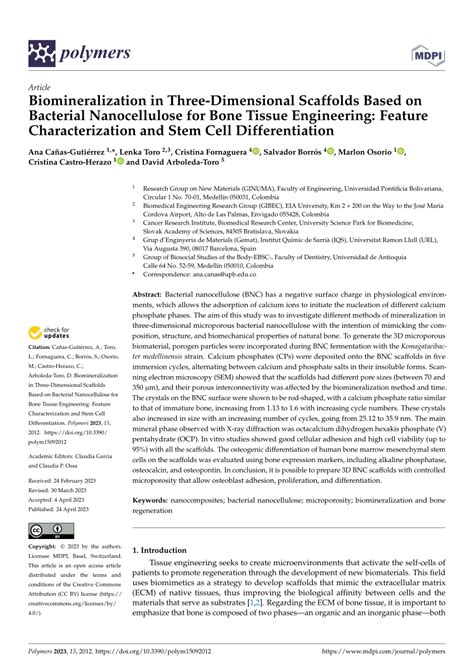 Pdf Biomineralization In Three Dimensional Scaffolds Based On