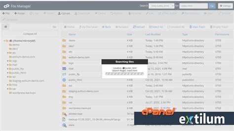Search In File Manager Cpanel • Extilum Knowledgebase