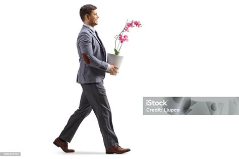 난초 화분을 들고 걷는 양복을 입은 젊은 미소 남자의 전체 길이 프로필 샷 걷기에 대한 스톡 사진 및 기타 이미지 걷기 꽃다발 남자 Istock