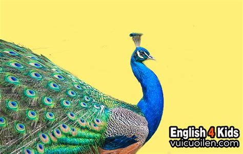 Con Nh M Ti Ng Anh L G V C Nh Th N O Cho Ng