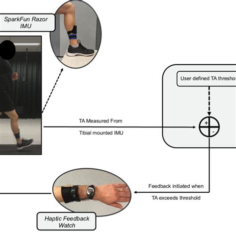 Block Diagram Of Real Time Haptic Feedback System Download
