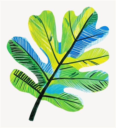 Download Free Vector Of Green Oak Leave Leaf Art Illustration Vector By