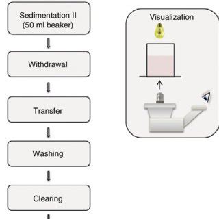 Colour Online Working Sequences Of A The Reference Method MSM And