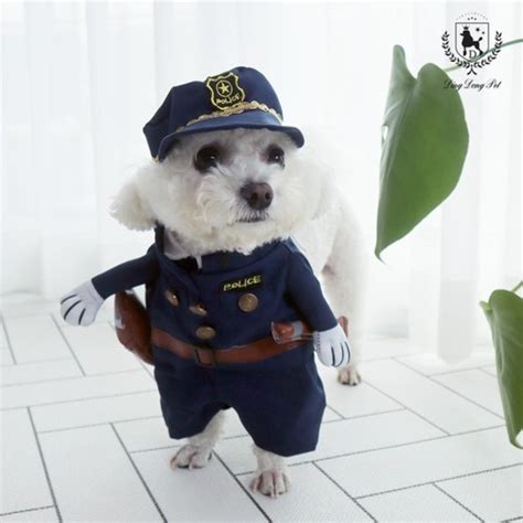 강아지 코스튬 추천 15가지 할로윈 크리스마스 명절에 사진 찍기 좋아요 비마이펫 라이프