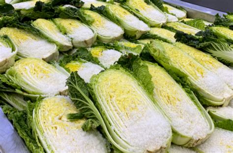 절임배추 20kg 가격 비교 및 보관방법 알아보기최신 가격 팡쁘일보