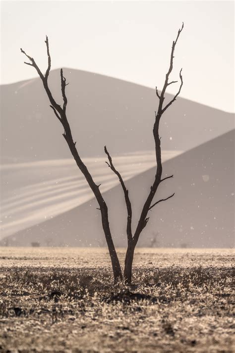 Kyle Goetsch Photography Added Kyle Goetsch Photography