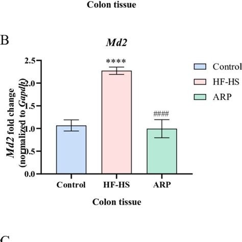The Effects Of Arctium Lappa L Root Powder Arp On Key Gene Mrna Download Scientific Diagram