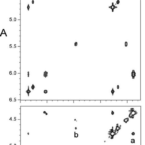 A H NMR COSY Spectrum Showing The Scalar Coupling Download Scientific Diagram