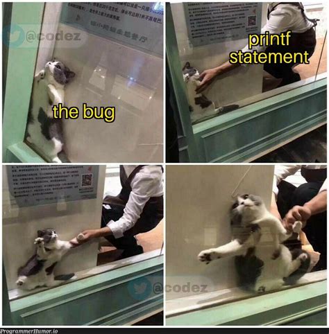 Best Debugging Method