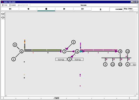 Nam Network Animator