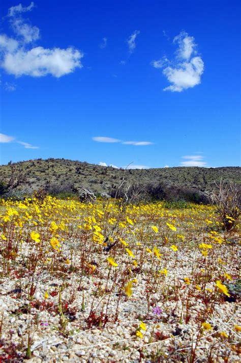 Deep Thoughts Worms Eye View