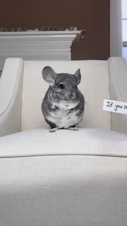 Dhamith Kumara Posted On Linkedin