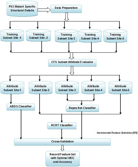 Novel Computational Approach To Predict Site Specific P53 Mutant