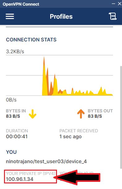 Cloudconnexa Disabling Of Snat In Cloudconnexa Portal Use Cases