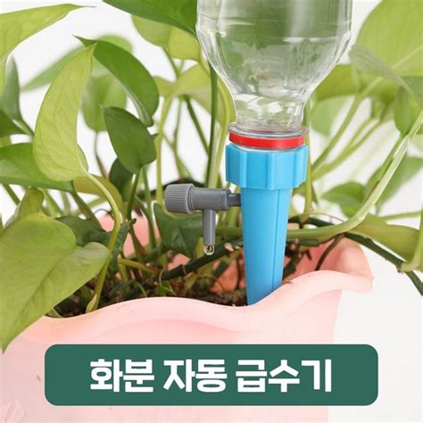 대표 이미지 Url 상세 페이지 Html 태그 다팔자 상품 담기