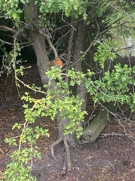 Gallery Blundells Fishery