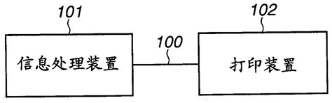 information processing apparatus and method for generating print data
