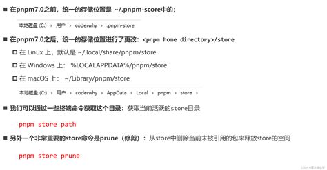 十三、前端包管理工具详解前端包管理器 Csdn博客