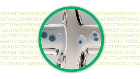Single Cell Library Preparation For Ngs Bio Rad