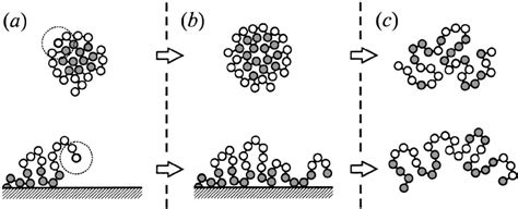 Schematic Representation Of Conformation Dependent Sequence Design Via