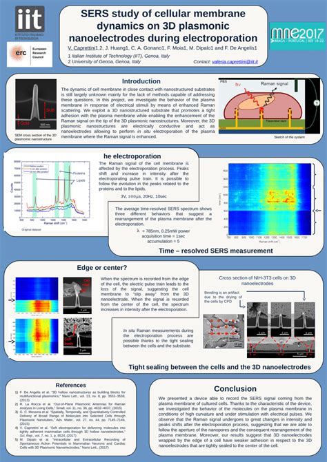 Pdf Sers Study Of Cellular Membrane Dynamics On 3d Plasmonic
