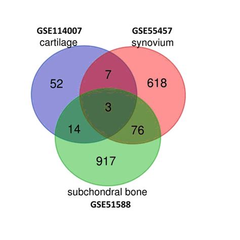 The Top 10 Down Regulated Genes With P Value 1 5 Download Scientific Diagram