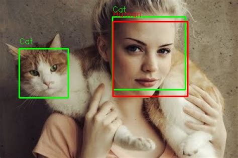 A 基于Python OpenCV面部检测 人脸和猫脸 人脸识别 索炜达电子