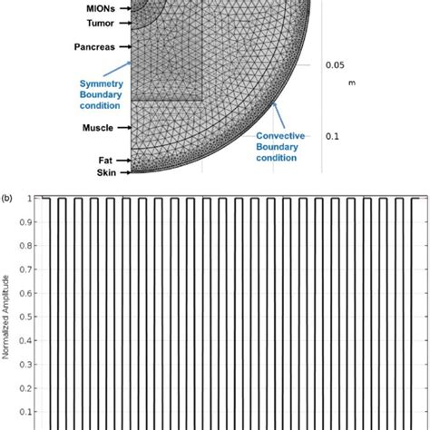 A Schematic Of The Meshed Human Scale Computational Model Consisting