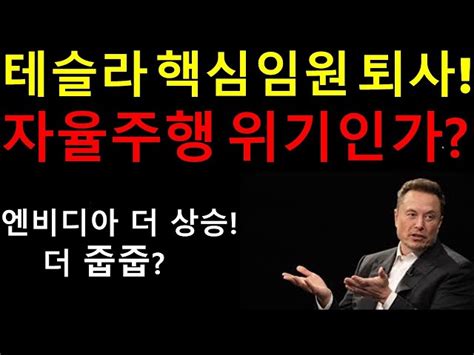 테슬라 핵심임원 퇴사 큰 이벤트 앞두고 자율주행 위기인가 테슬라 내부에 무슨일이 일어나고 있는가 엔비디아 계속 상승할수