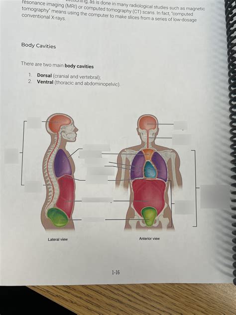 Unit 1 Obj 3 Diagram Quizlet