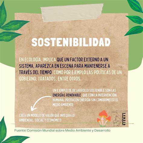¿sabías Cuál Es La Diferencia Entre Sostenibilidad Y Sustentabilidad