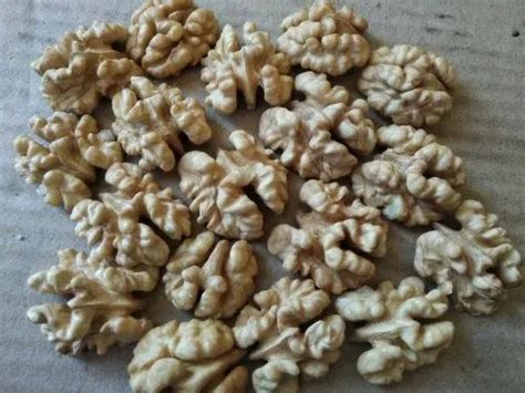 Snow White Walnut Kernel Packaging Type Vacuum Bag At ₹ 980 Kg In Pampore