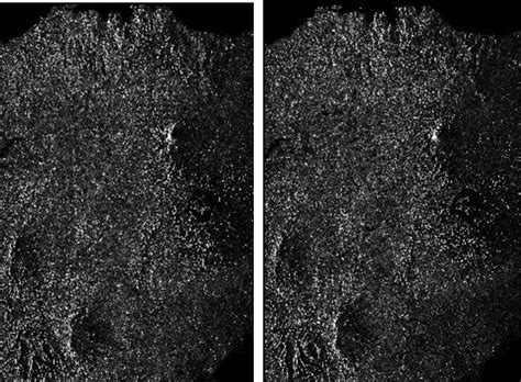 Figure 1 From Radar Interferometry Application For Digital Elevation Model In Mount Bromo