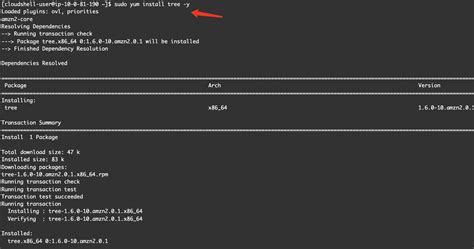 Aws Cloudshell