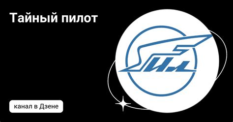 Тайный пилот Дзен